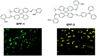 Two spirobifluorene-based fluorescent probes with aggregation-induced ...