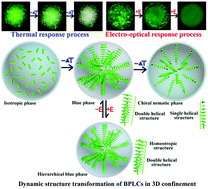 Blue phase liquid crystal microcapsules: confined 3D structure inducing ...