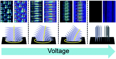 Controllable liquid crystal defect arrays induced by an in-plane ...