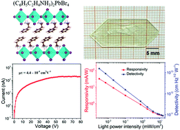 Two-dimensional (PEA)2PbBr4 perovskite single crystals for a high ...