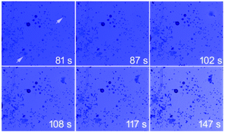 Photoluminescent organic polymer nanofilms formed in water through a ...