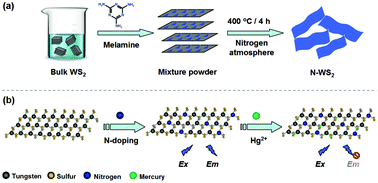 Synthesis of fluorescent tungsten disulfide by nitrogen atom doping and ...