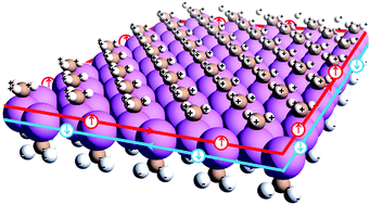 A two-dimensional robust topological insulator with coexisting ...