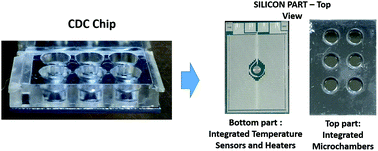 An innovative silicon-chip for sensitive real time PCR improvement in ...