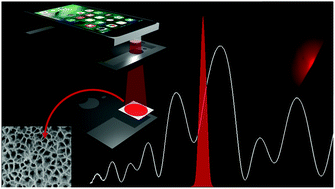 A smartphone biosensor based on analysing structural colour of porous ...