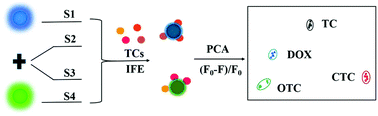 A quadruple-channel fluorescent sensor array based on label-free carbon ...