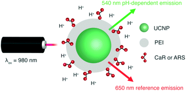 Upconversion nanoparticles for sensing pH - Analyst (RSC Publishing)