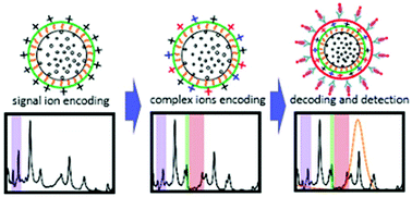 Ion-chelation based digital barcodes for multiplexing of a suspension ...