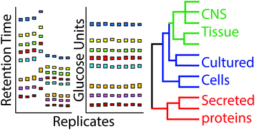 Standardization of PGC-LC-MS-based glycomics for sample specific ...