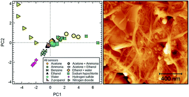 Enhanced selectivity of target gas molecules through a minimal array of ...