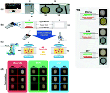 Improvement of biosensor accuracy using an interference index detection ...