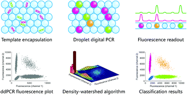 A density-watershed algorithm (DWA) method for robust, accurate and ...