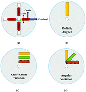 Interplay of Coriolis effect with rheology results in unique blood ...