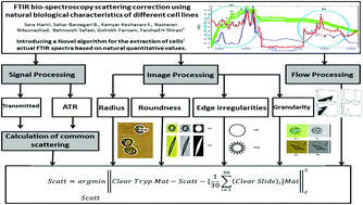 FTIR bio-spectroscopy scattering correction using natural biological ...
