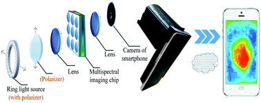 Smartphone based multispectral imager and its potential for point-of ...