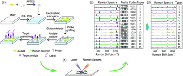 Fast and accurate decoding of Raman spectra-encoded suspension arrays ...