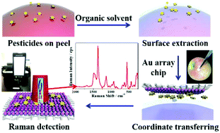 A functional Au array SERS chip for the fast inspection of pesticides ...