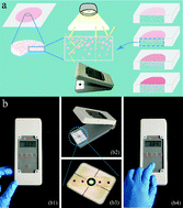 Portable paper sensors for the detection of heavy metals based on light ...