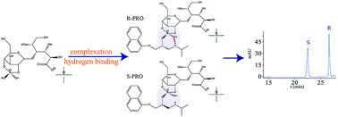 Enantioseparation of amino alcohol drugs by nonaqueous capillary ...