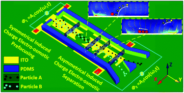 Microparticle separation using asymmetrical induced-charge electro ...