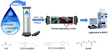 Preparation and evaluation of a green solvent-based molecularly ...