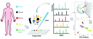 Direct identification of forensic body fluids by MALDI-MS - Analyst ...