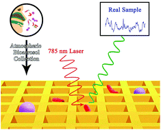 Klarite as a label-free SERS-based assay: a promising approach for ...