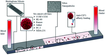 Nanoparticle modification of microfluidic cell separation for cancer ...