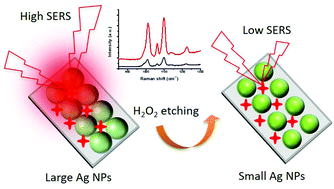A simple enzyme-free SERS sensor for the rapid and sensitive detection ...