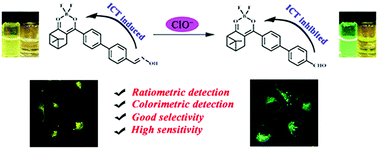 A novel nopinone-based fluorescent probe for colorimetric and ...