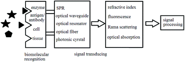 Optical biosensors: an exhaustive and comprehensive review - Analyst ...