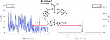 Improved quantification of the cyanobacteria metabolite, β-methylamino ...