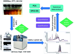 Influence of photooxidation on the lipid profile of rapeseed oil using UHPLC-QTOF-MS and ...