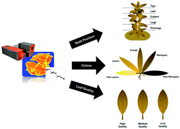 Fast inline tobacco classification by near-infrared hyperspectral ...