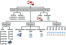 Systematic optimization and evaluation of sample pretreatment methods ...