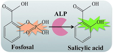 Ultrasensitive Raman sensing of alkaline phosphatase activity in serum ...