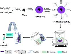 Rapid extraction of free fatty acids from edible oil after accelerated ...
