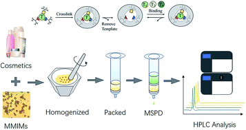 Monodisperse molecularly imprinted microsphere cartridges coupled with ...