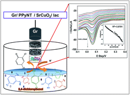 A matrix of perovskite micro-seeds and polypyrrole nanotubes tethered ...
