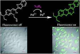 A fast-responding, highly sensitive detection system consisting of a ...