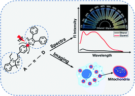A targetable fluorescent probe for imaging of mitochondrial viscosity ...