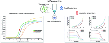 Reaction parameter comparison and optimization of multiple displacement ...