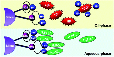 Phosphorus removal from oil and aqueous phases with a multifunctional ...