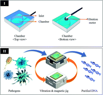Development of a bacterial DNA extraction modular chip using a magnetic ...