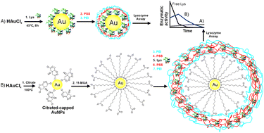 In situ synthesis, stabilization and activity of protein-modified gold ...