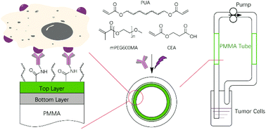 Functional, UV-curable coating for the capture of circulating tumor ...