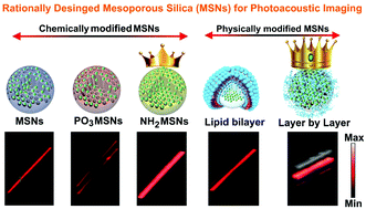 Efficient photoacoustic imaging using indocyanine green (ICG) loaded ...