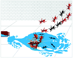 Red phosphorus decorated graphene oxide nanosheets: label-free DNA ...