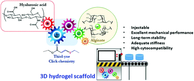 Robust alginate/hyaluronic acid thiol–yne click-hydrogel scaffolds with ...