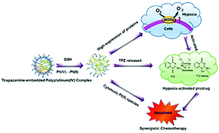 Tirapazamine-embedded polyplatinum(iv) complex: a prodrug combo for ...
